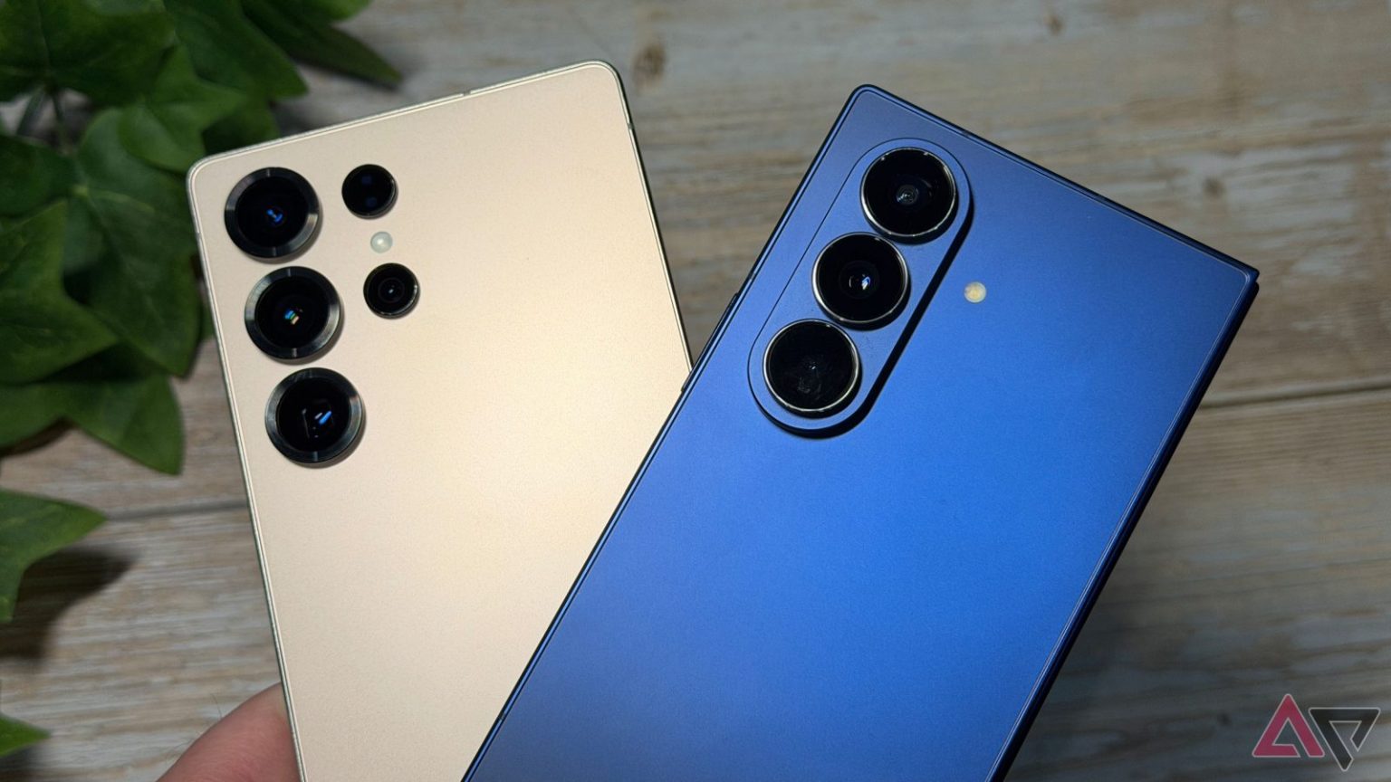 Duolingo non funziona? ecco perché non sei solo